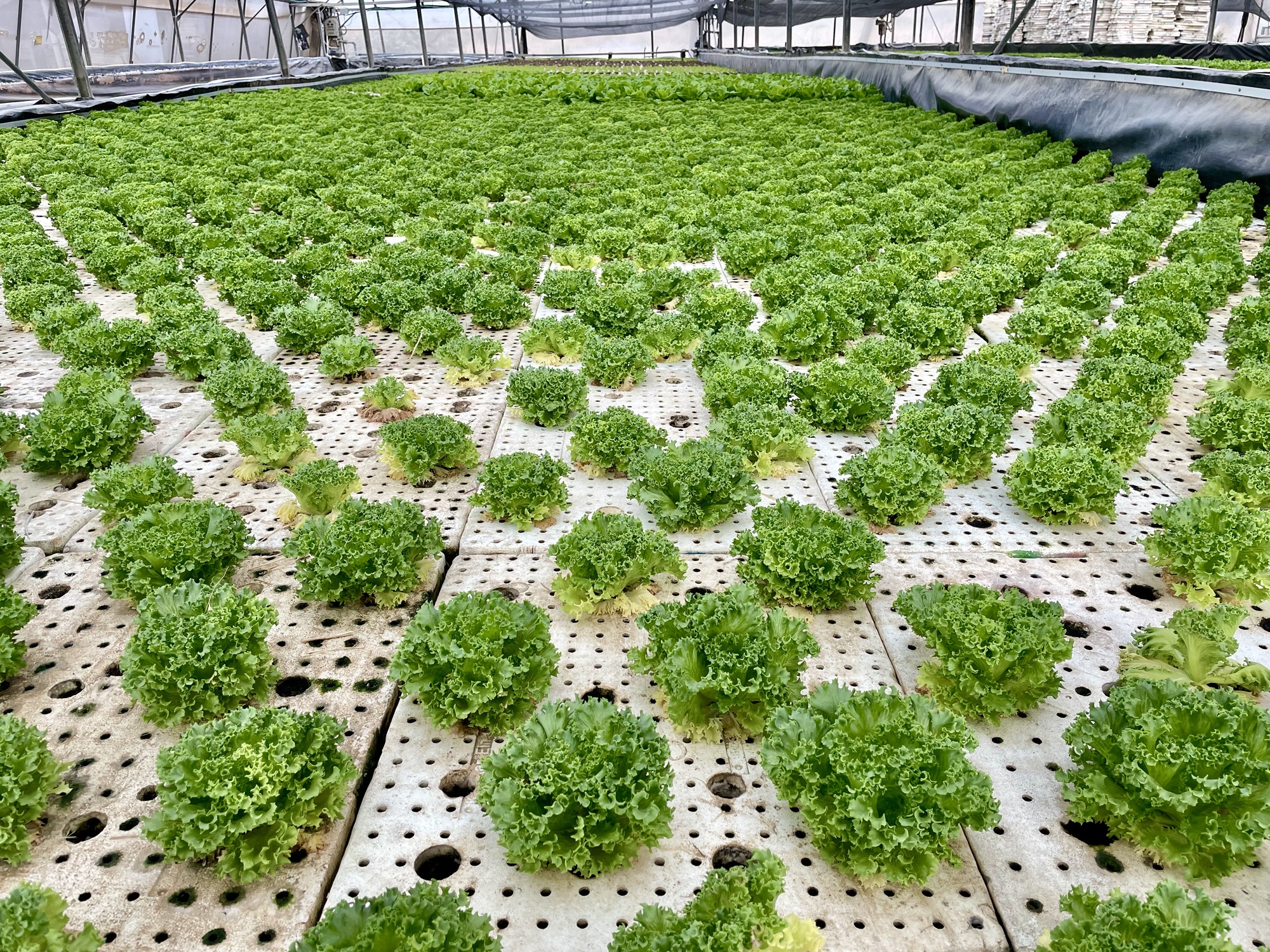 Last day with Melton Solidarity Tour – RobbieLambertsTravels